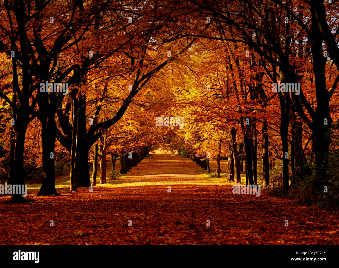 my alley Stock Photo - Alamy