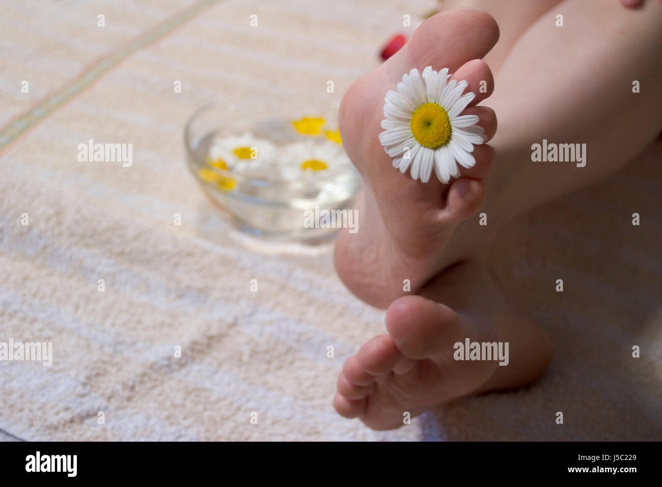 hand beautiful beauteously nice leaf health flower plant bloom blossom ...