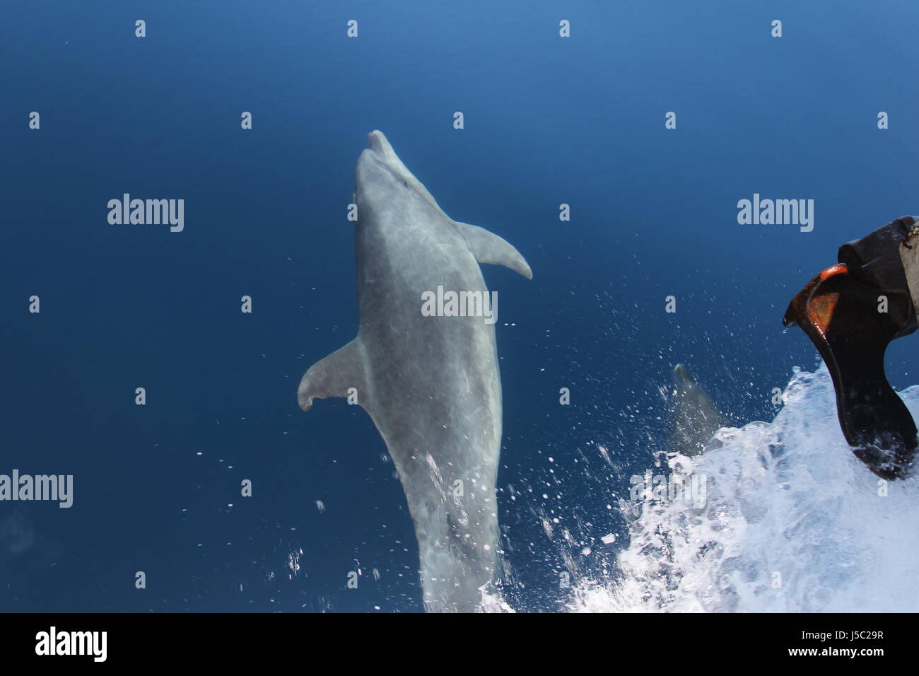 Ocean racing around the world hi-res stock photography and images - Alamy