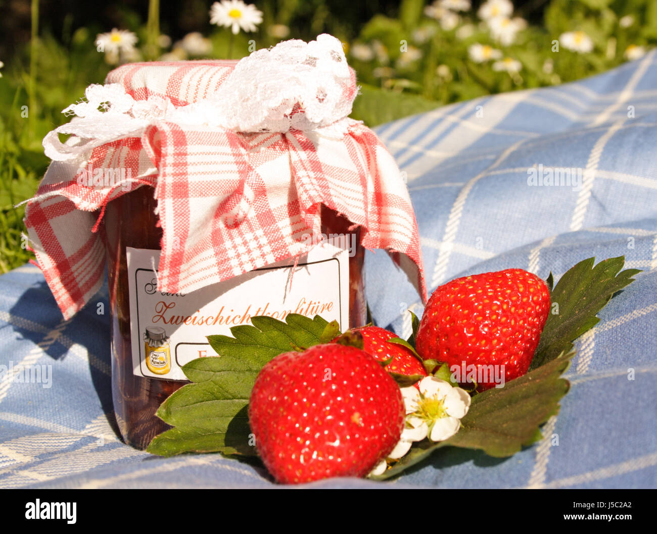 blue food aliment eco sweetly green wood bloom blossom flourish ...