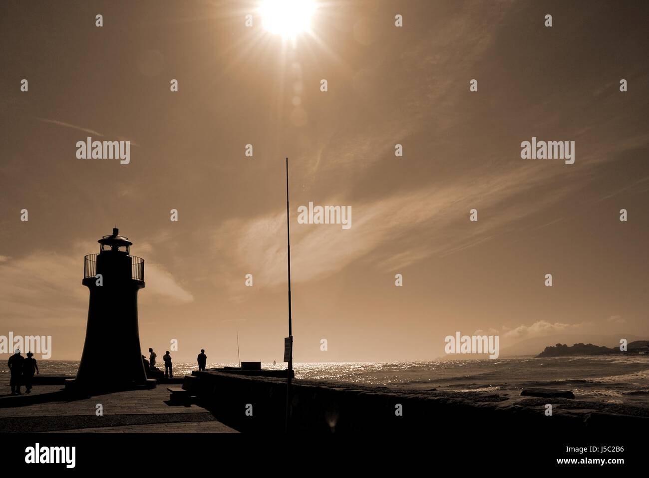 humans human beings people folk persons human human being tower shine ...