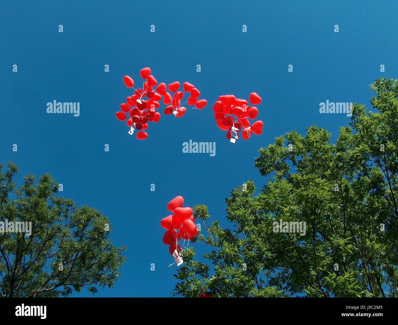 Heart rise hi-res stock photography and images - Alamy