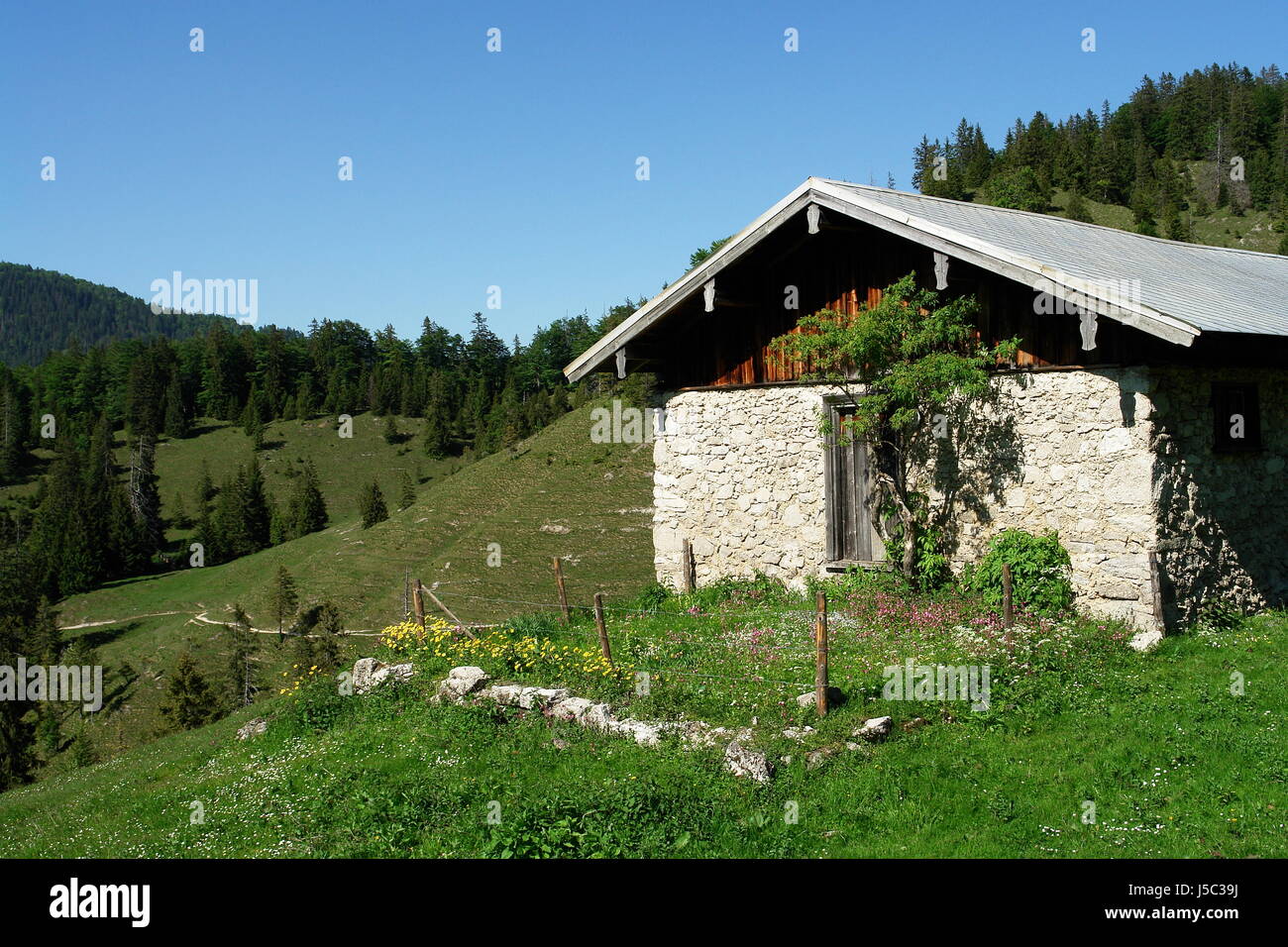 on the alm Stock Photo - Alamy