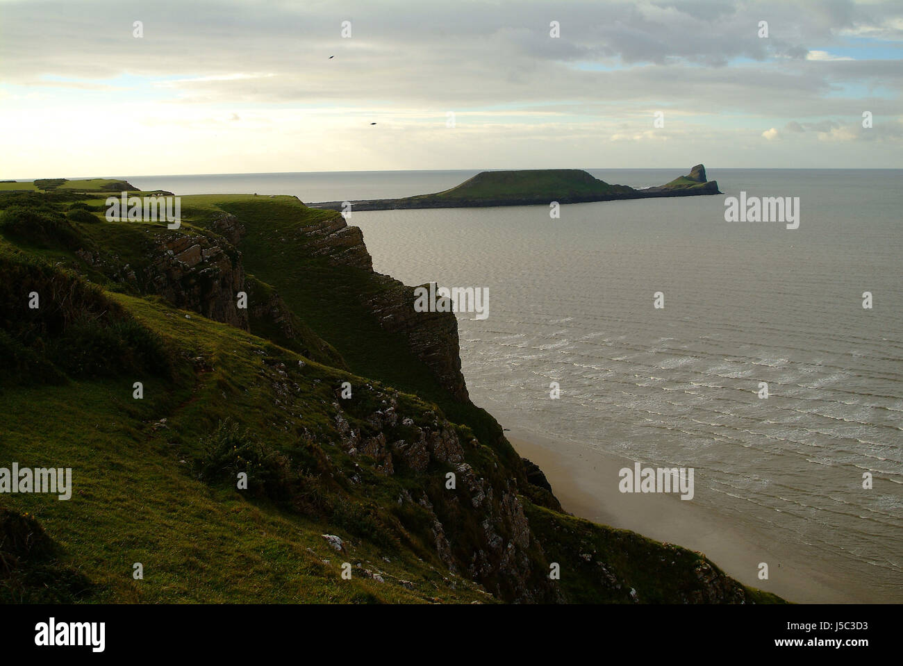 worms head 2 Stock Photo - Alamy