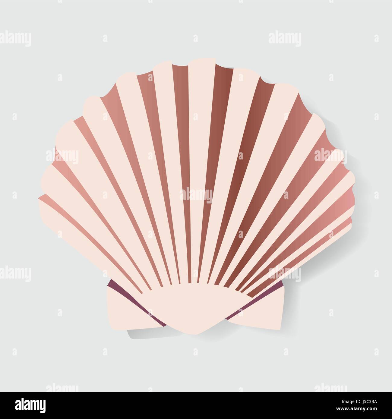 Seashell Vectot Illstration Graphic Design Stock Vector Image & Art - Alamy