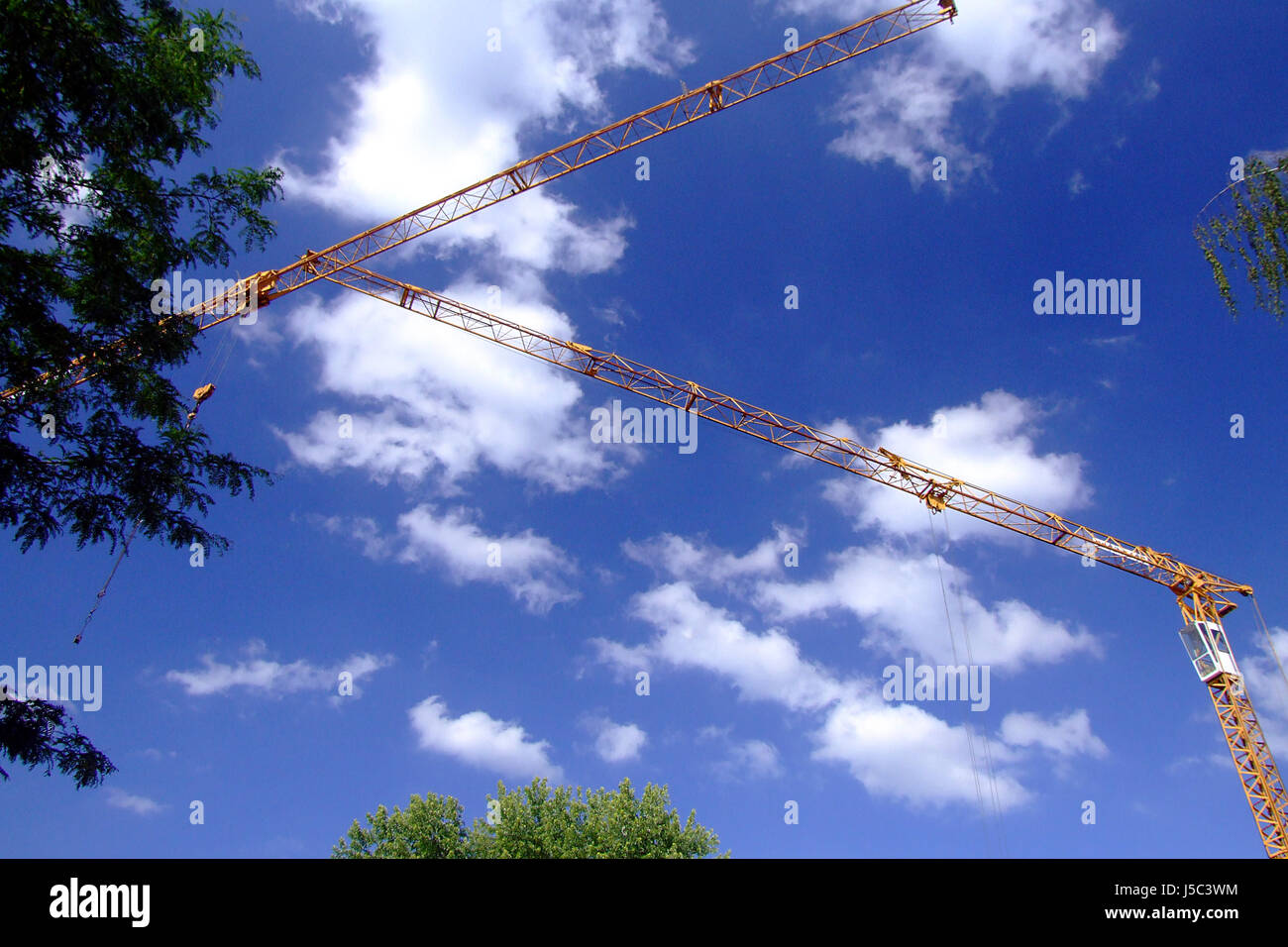 blue build tree engineering green new building contrast workstations ...