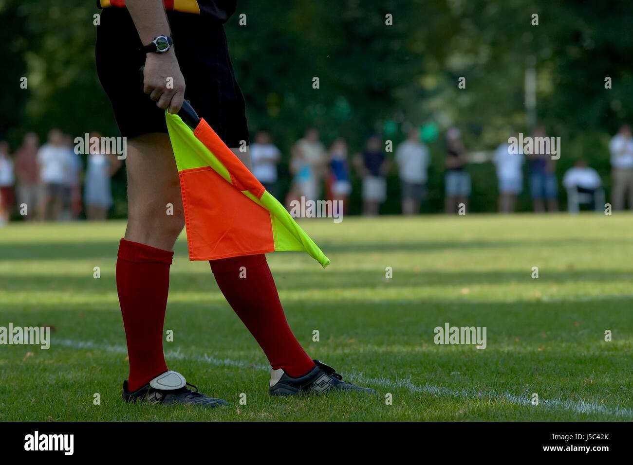 ball sport,detail admission,flag,referee,linesman,rugby,umpire,red ...