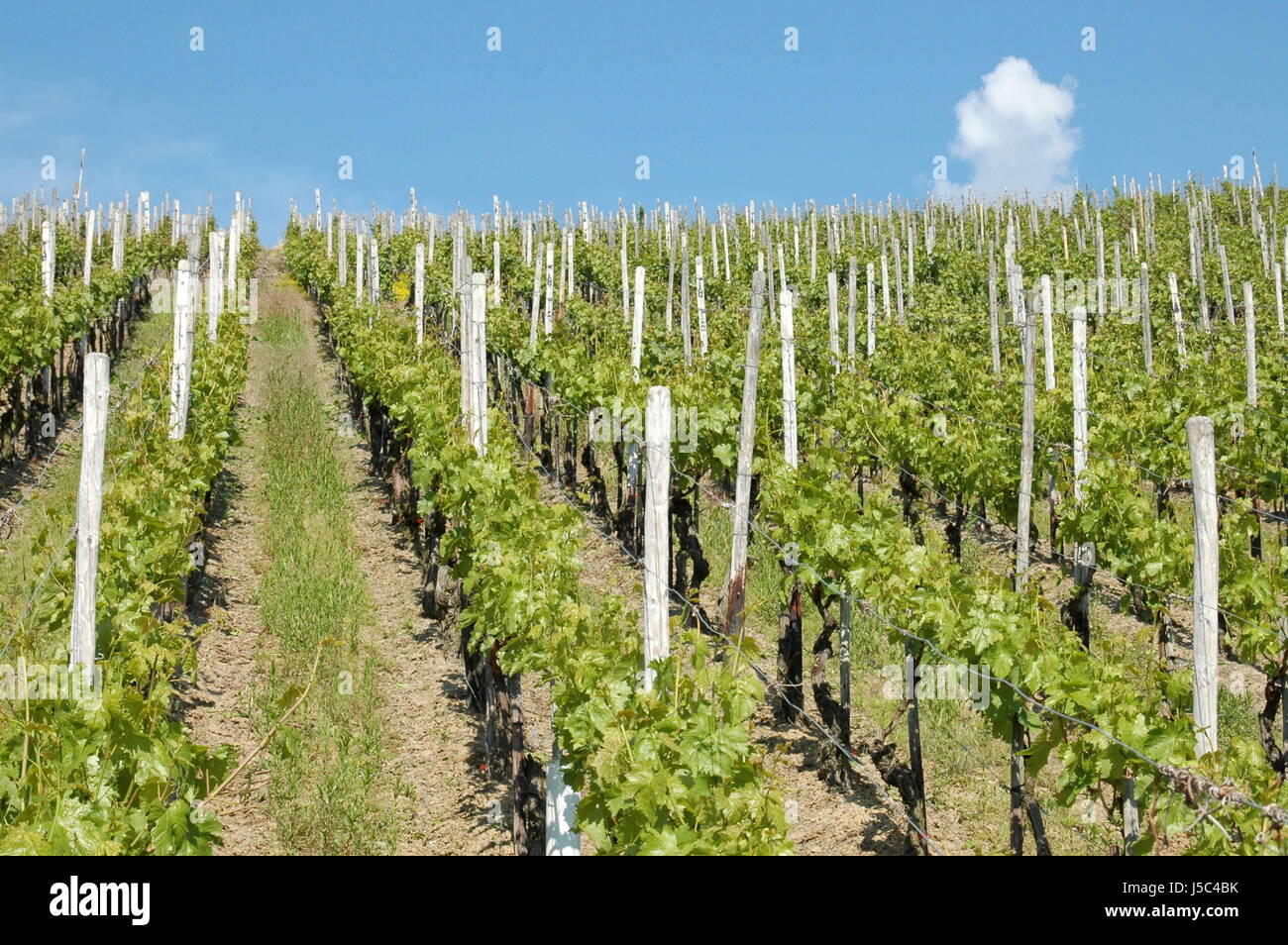 Sloping hi-res stock photography and images - Alamy