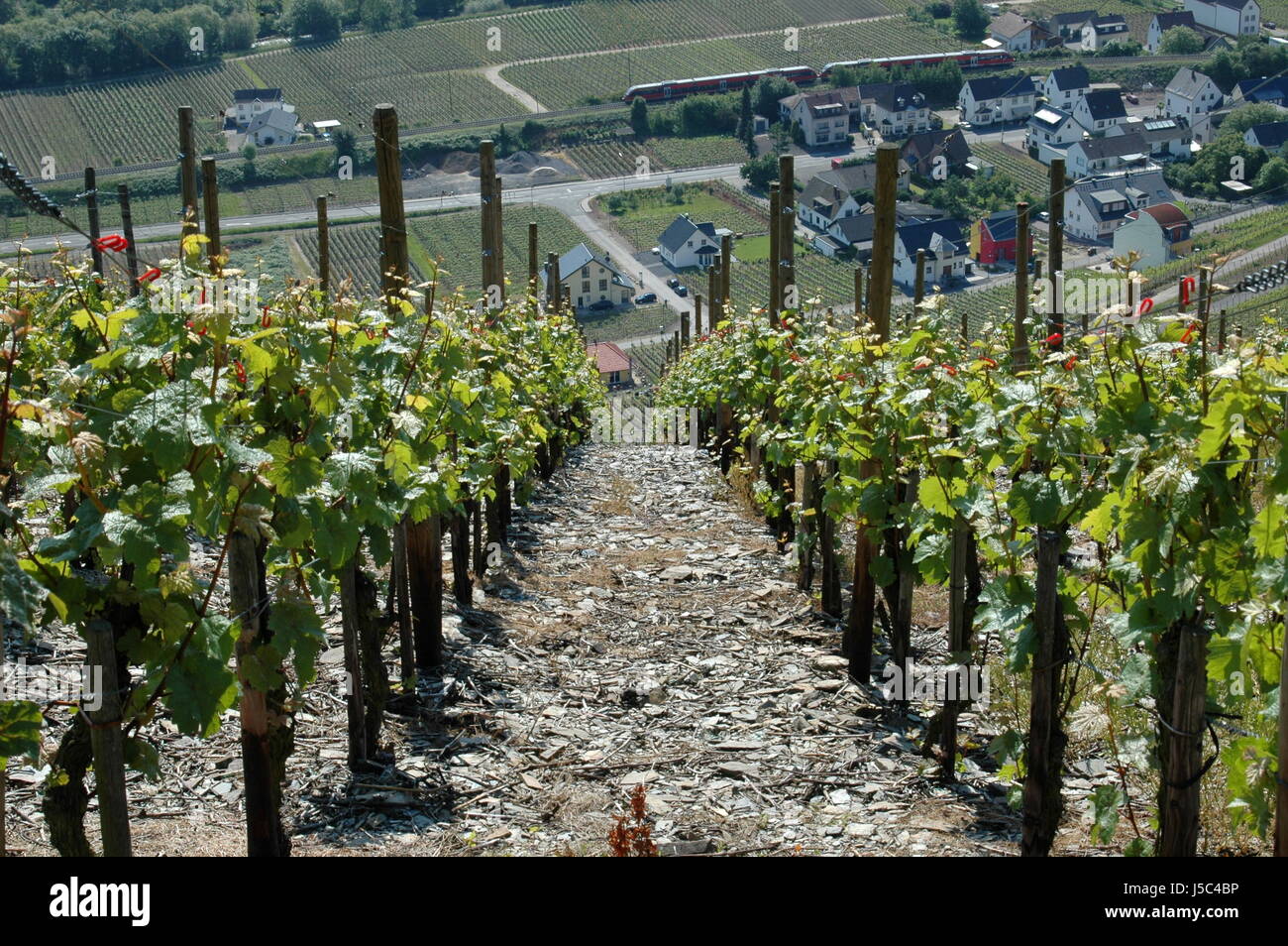 computing at the ahr Stock Photo - Alamy