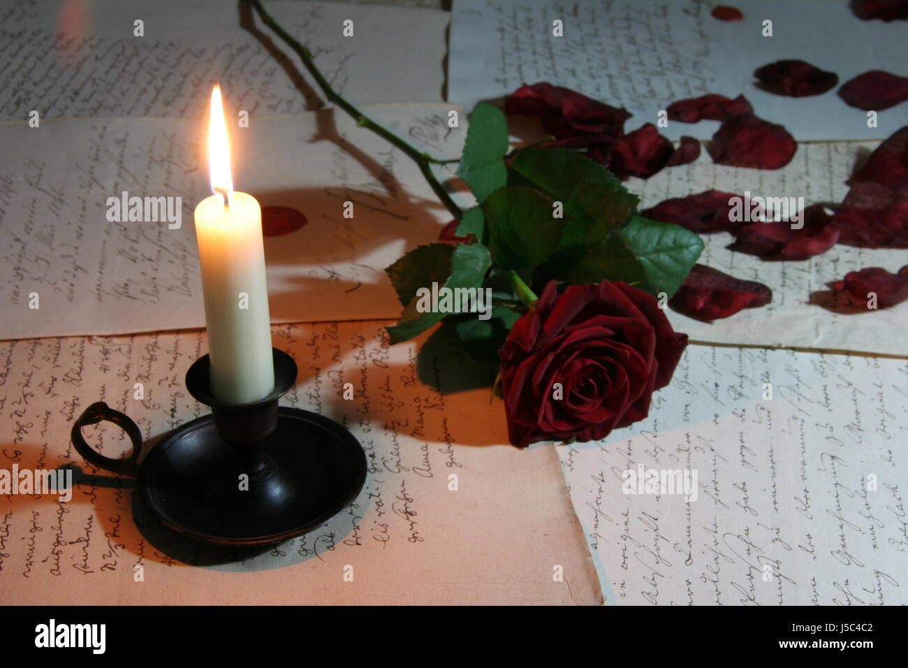 still life shine shines bright lucent light serene luminous beautiful ...