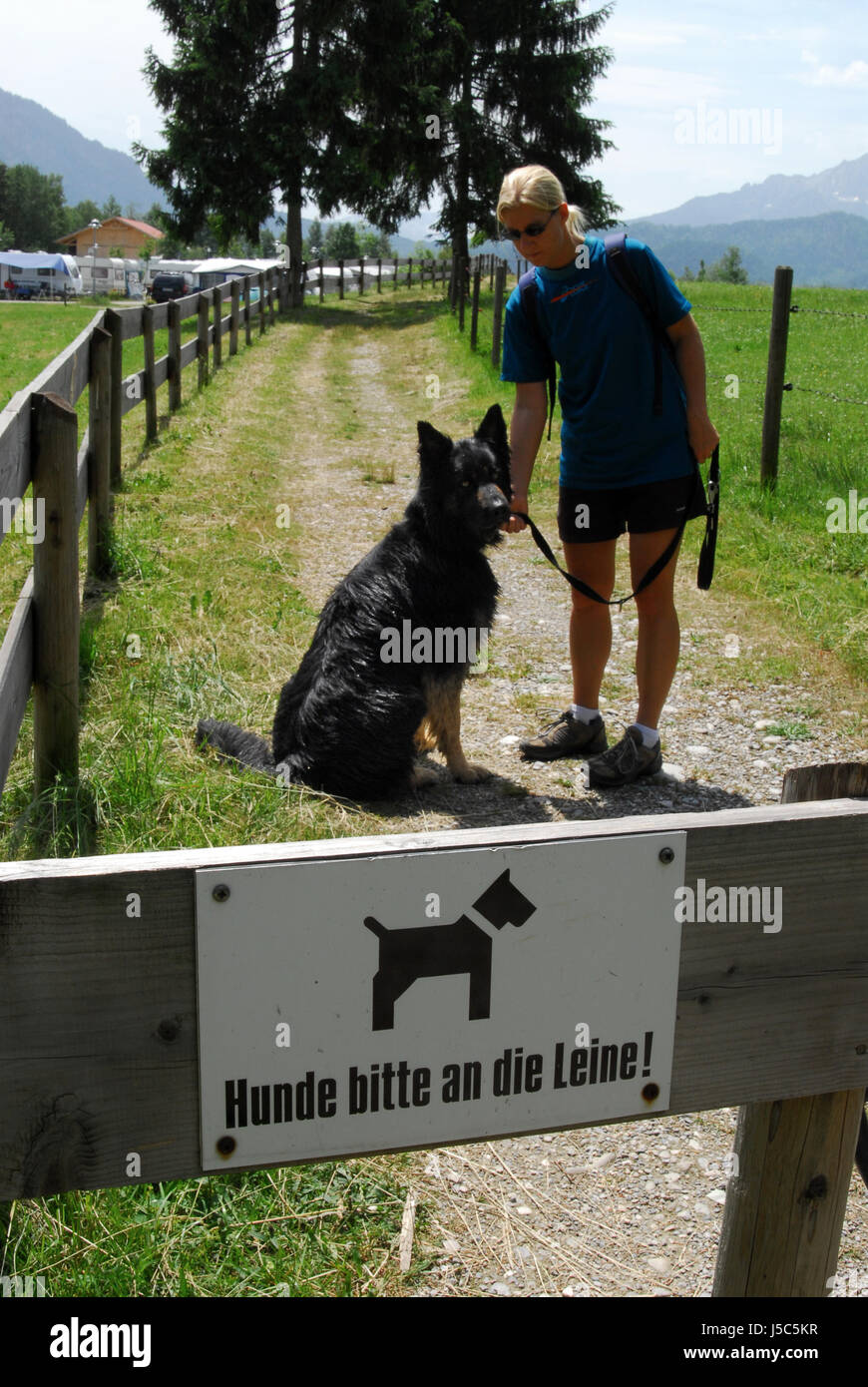 sign signal pet ears look glancing see view looking peeking looking at ...