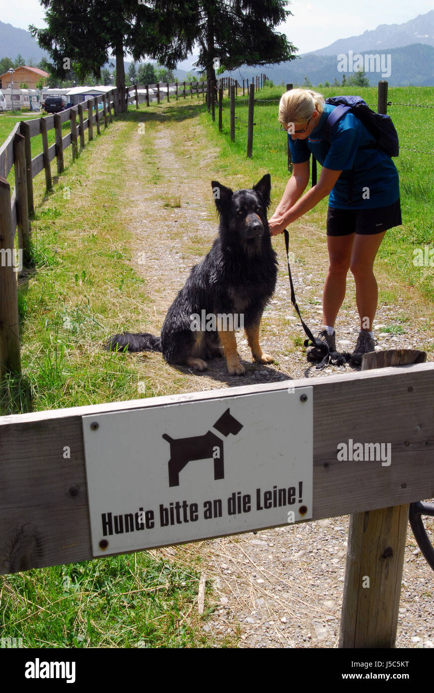 sign signal pet ears look glancing see view looking peeking looking at ...