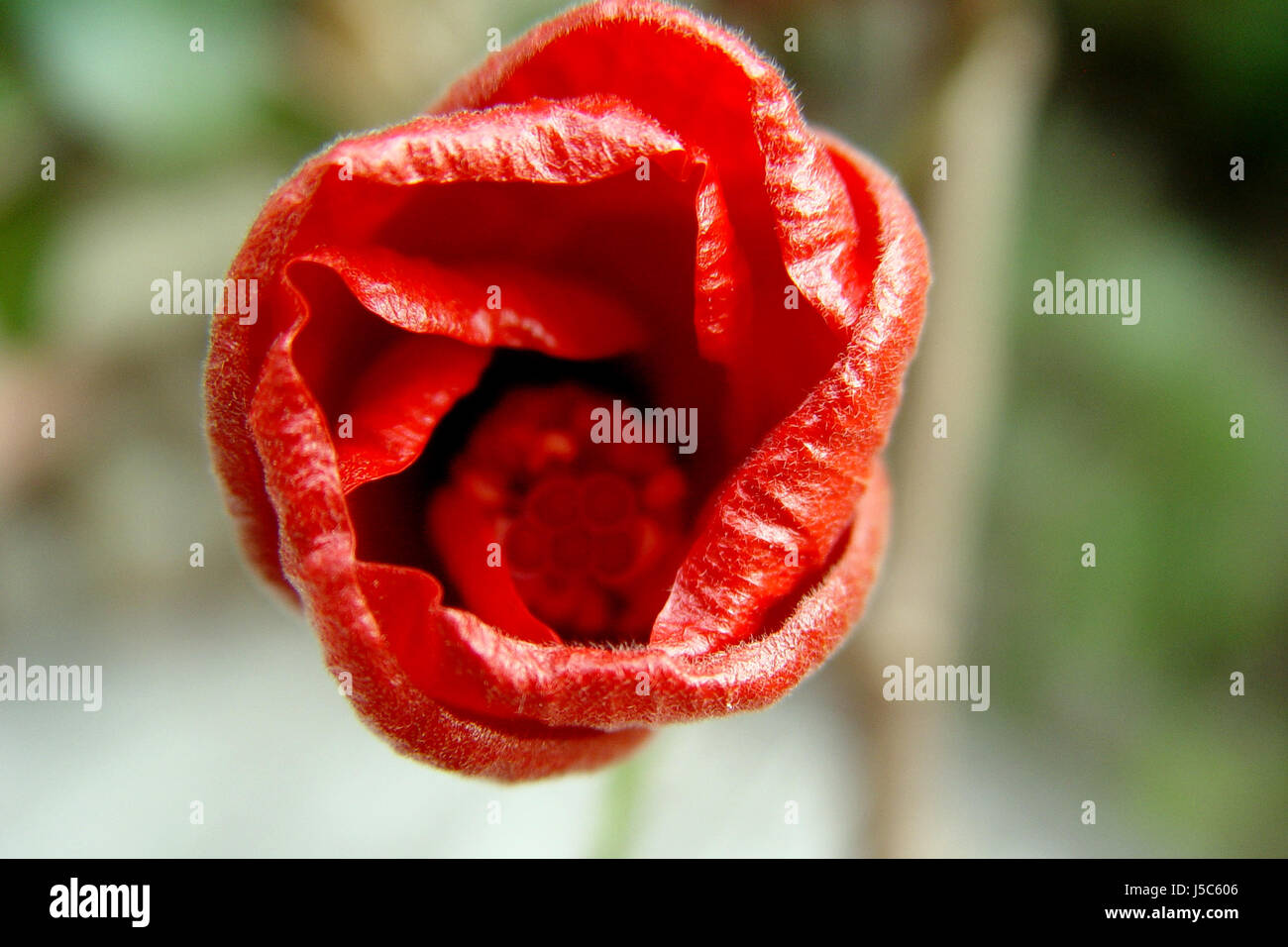 a question of time Stock Photo - Alamy