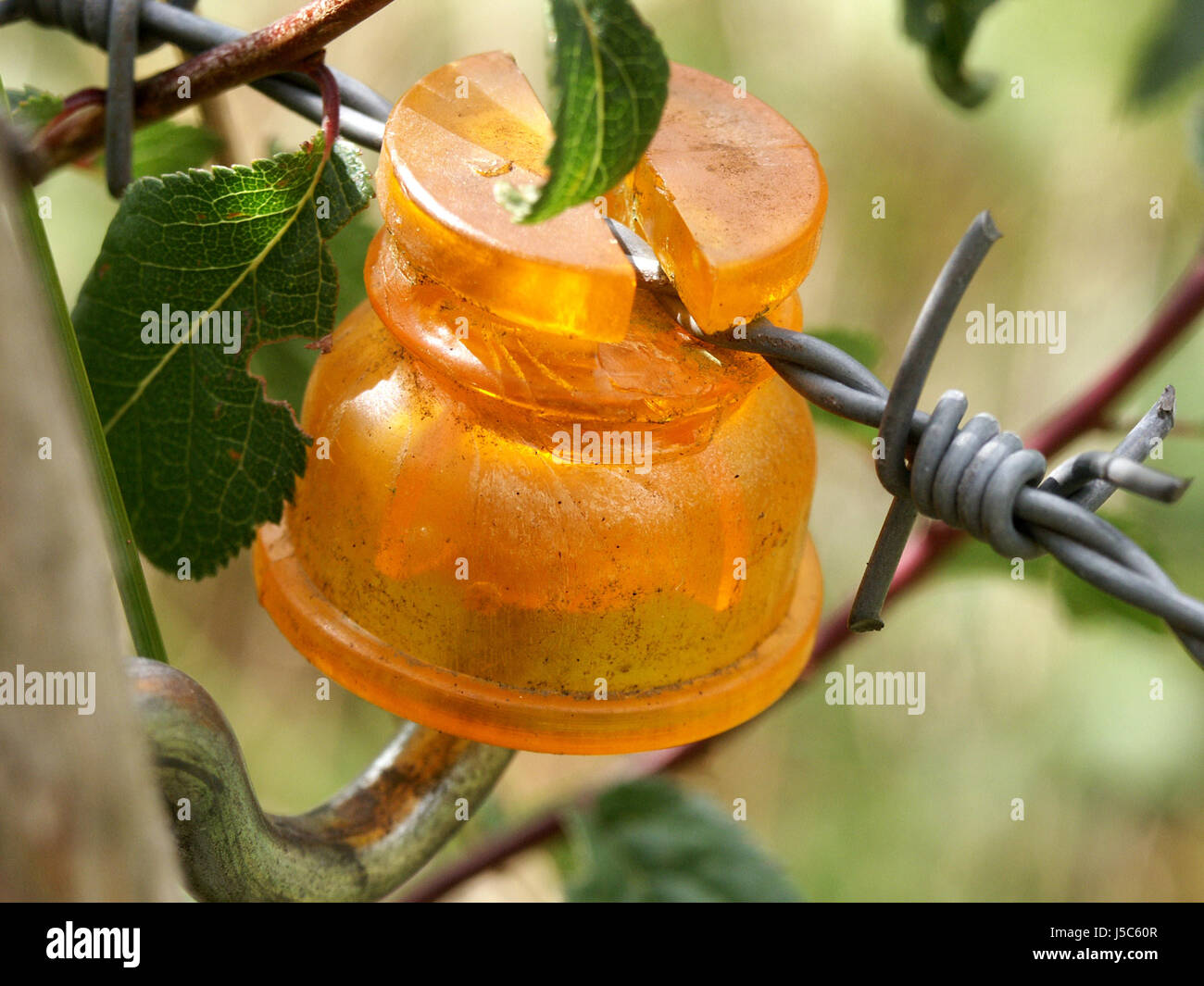 leaf generation of electricity field energy power electricity electric ...