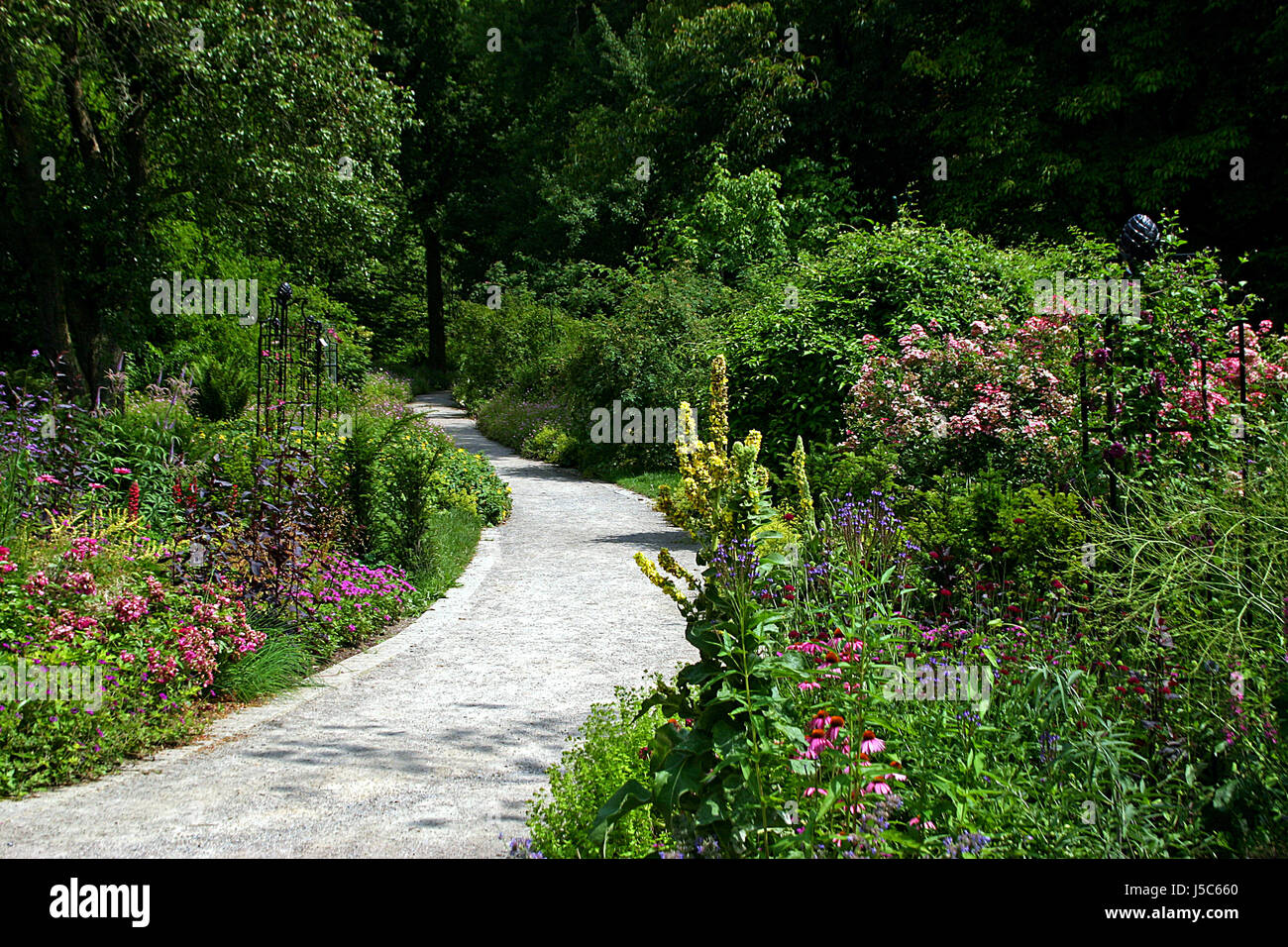 Rombergpark botanical garden hi-res stock photography and images - Alamy