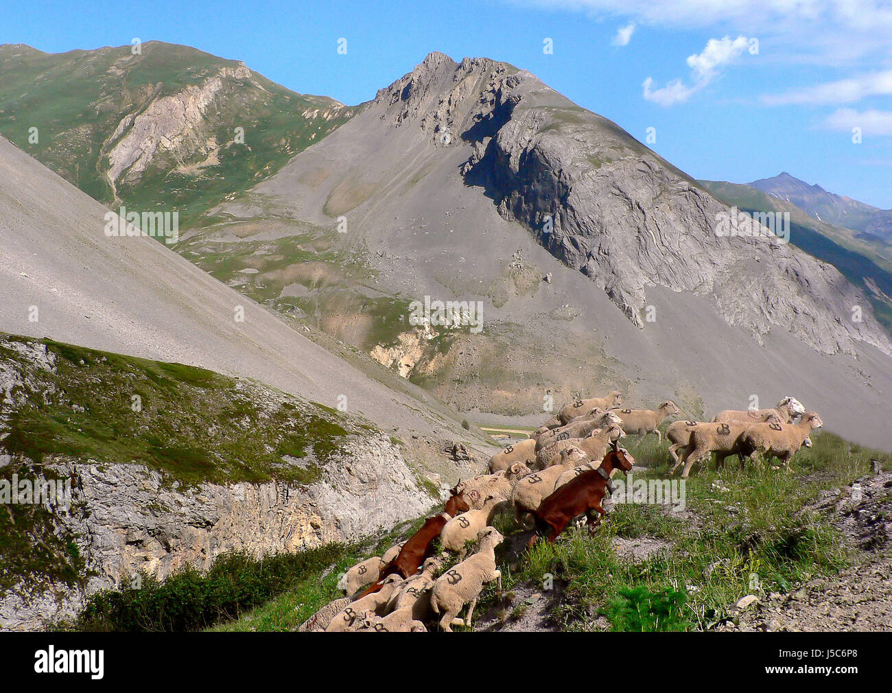 Col du galibier tour de france hi-res stock photography and images - Alamy