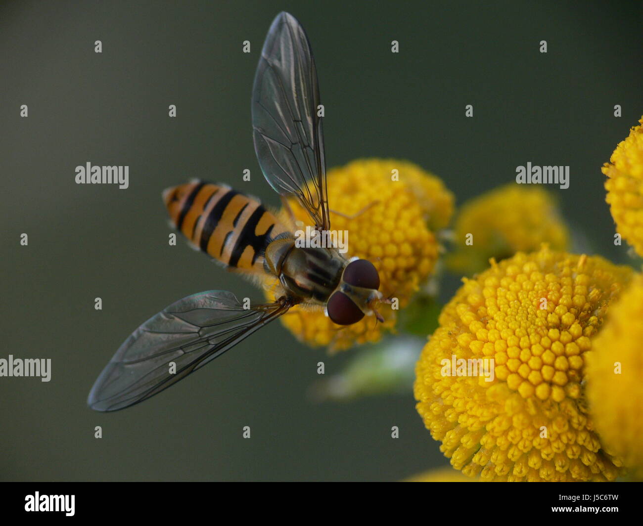 Original image hi-res stock photography and images - Alamy