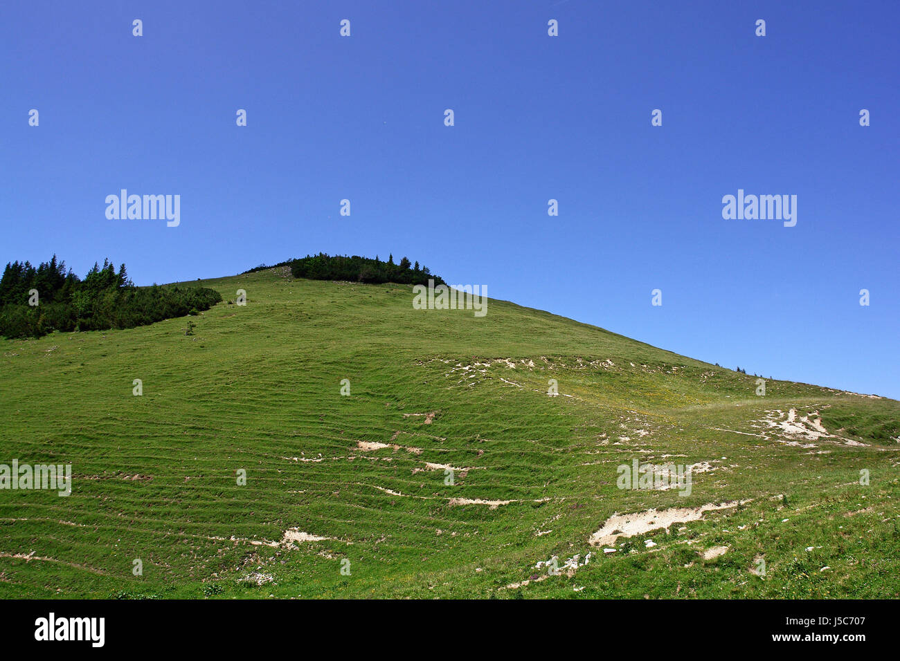 Upper wave hi-res stock photography and images - Alamy