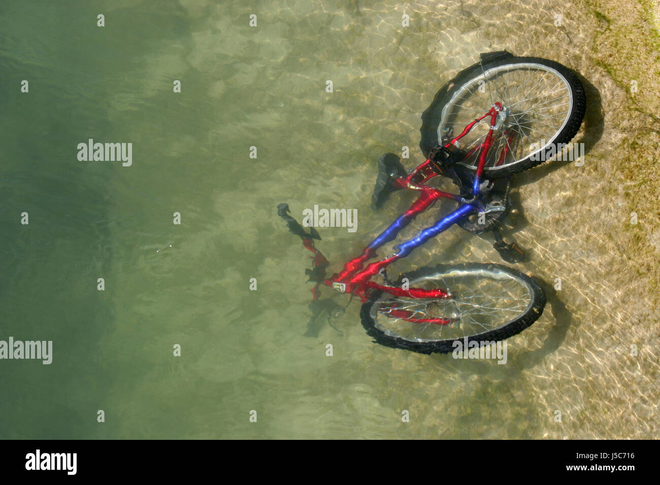 wheel accident means of travel sink rapt juvenile bicycle go down bike ...