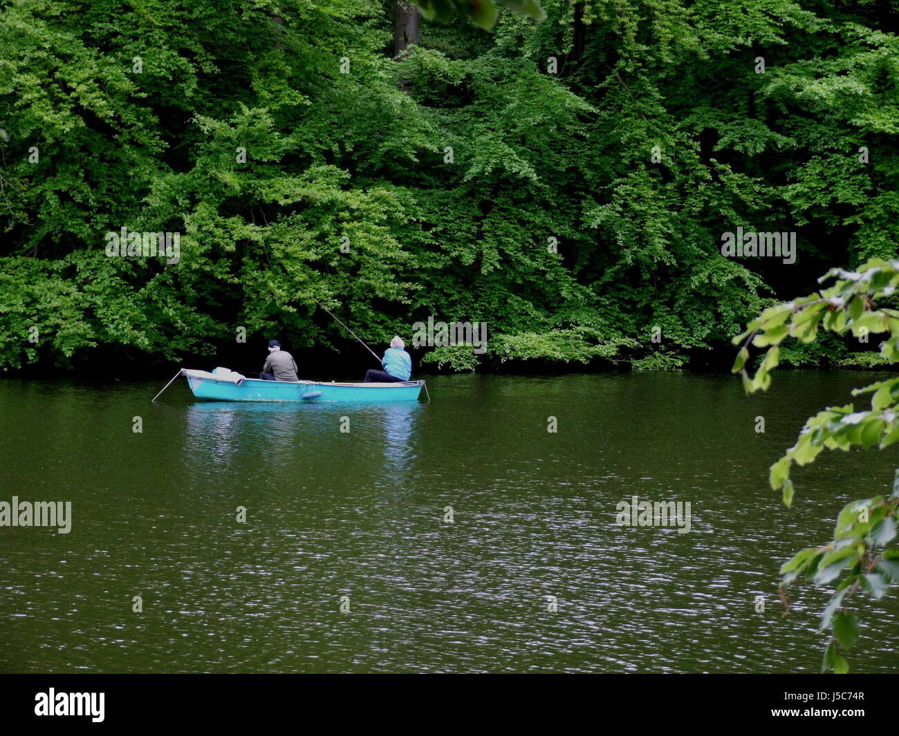 Large fish rowing boat hi-res stock photography and images - Alamy