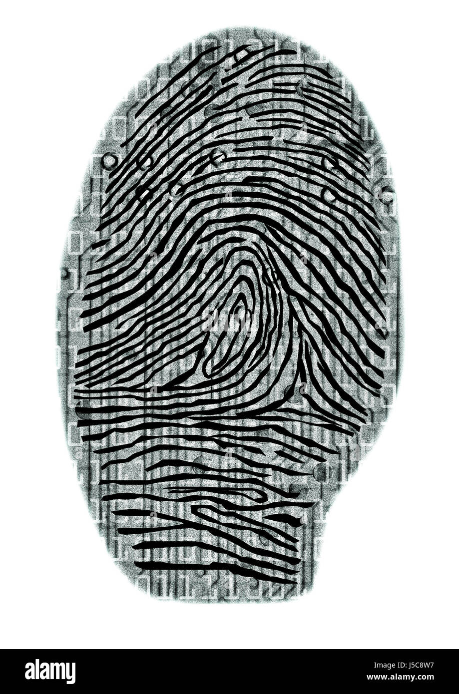 humans human beings people folk persons human human being hand finger ...