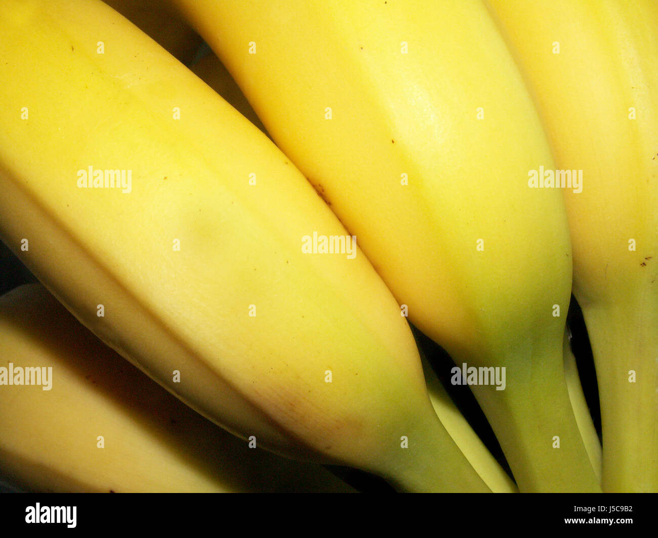 food aliment sweetly fruit tropical fruit bananas banana peel false ...
