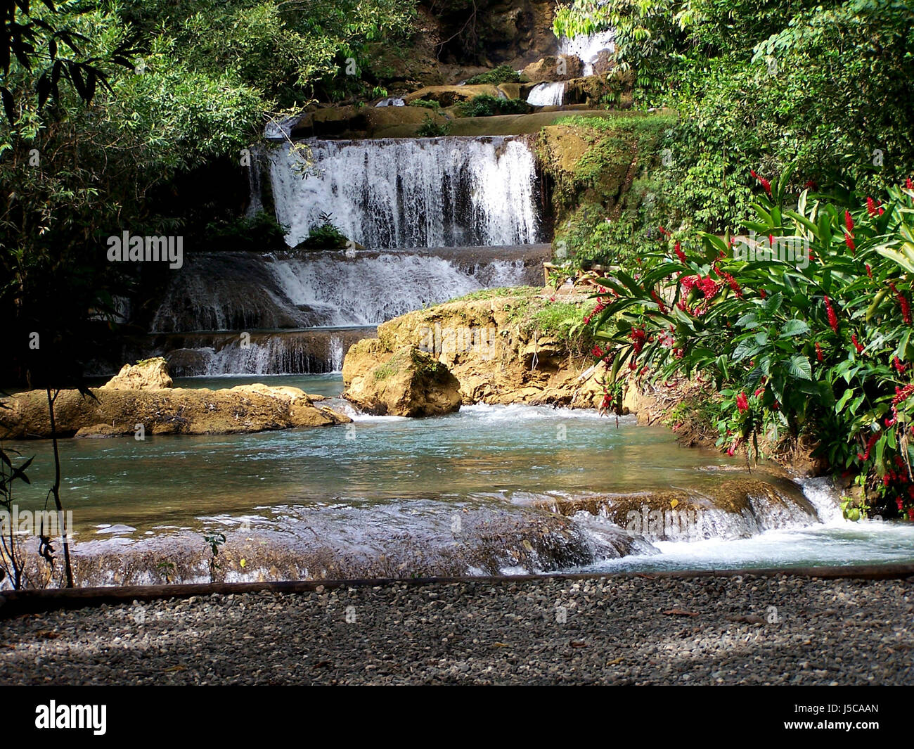 park stream waterfall tropical antilles caribbean river water nature ...