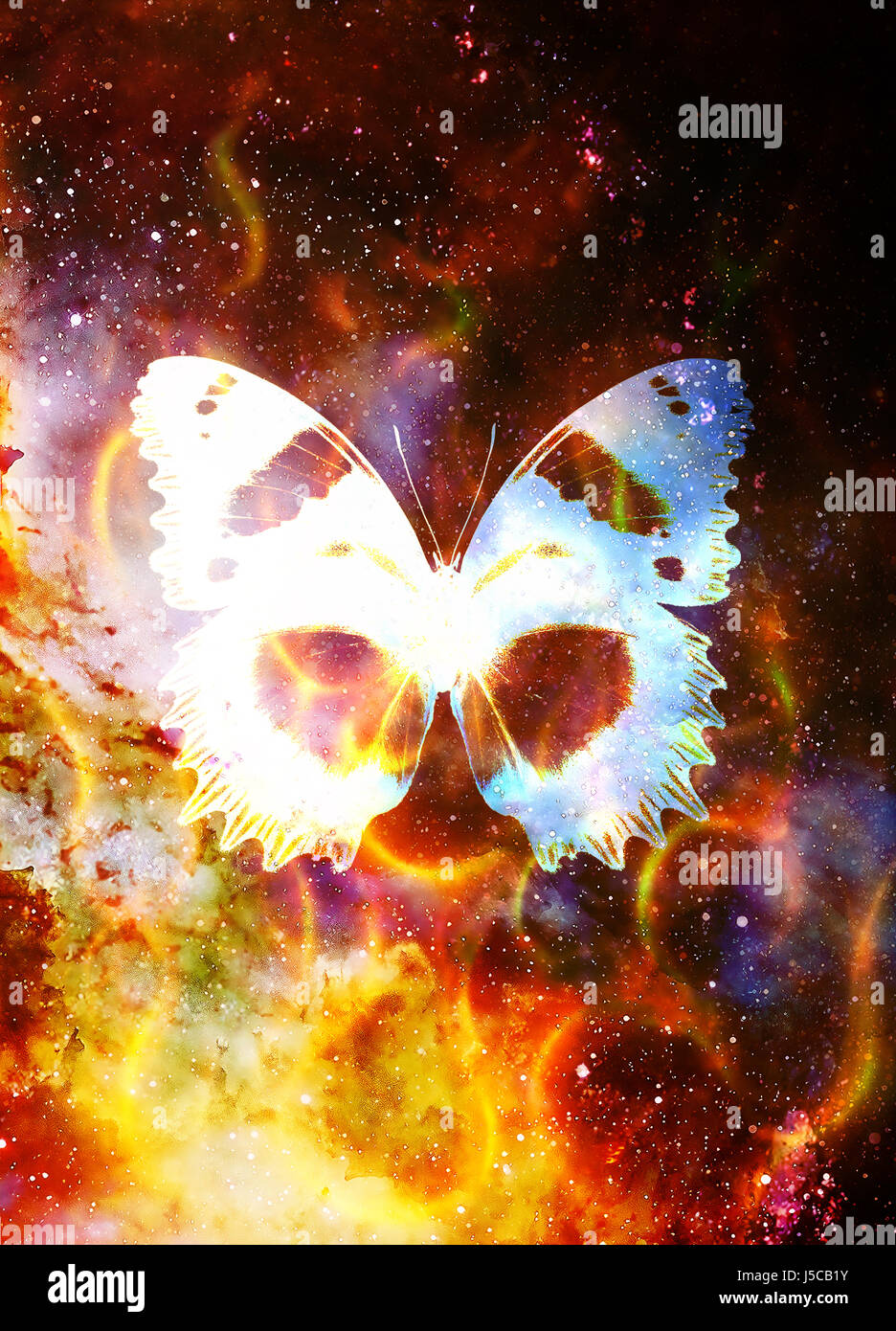 Fire And Ice Butterflies