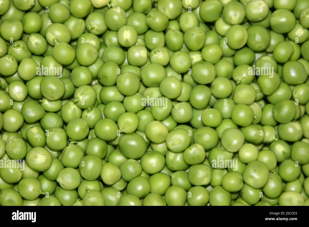 green summer summerly ripe vegetable peas complete perfect backdrop ...