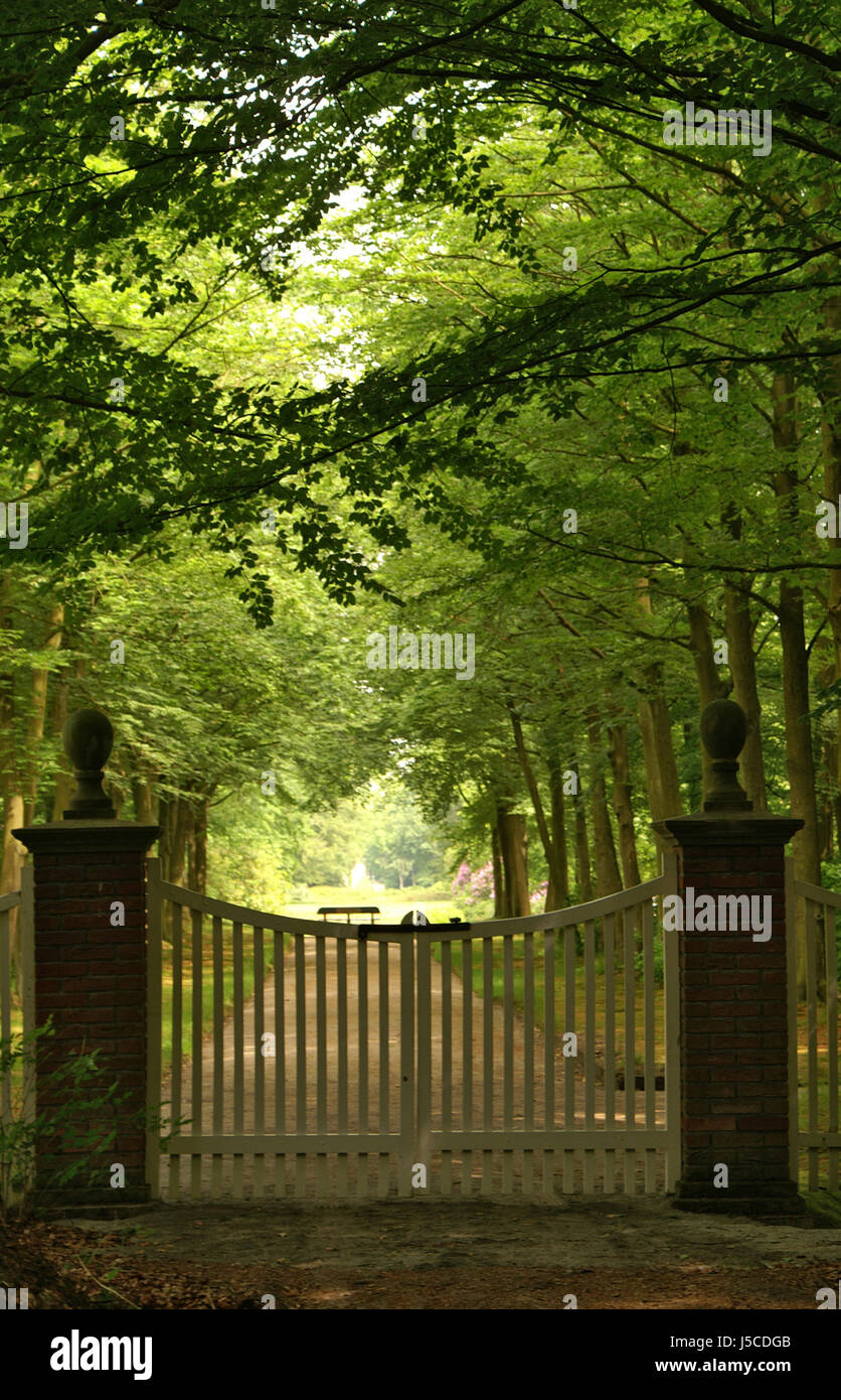 tree trees park green goal passage gate archgway gantry door summer ...