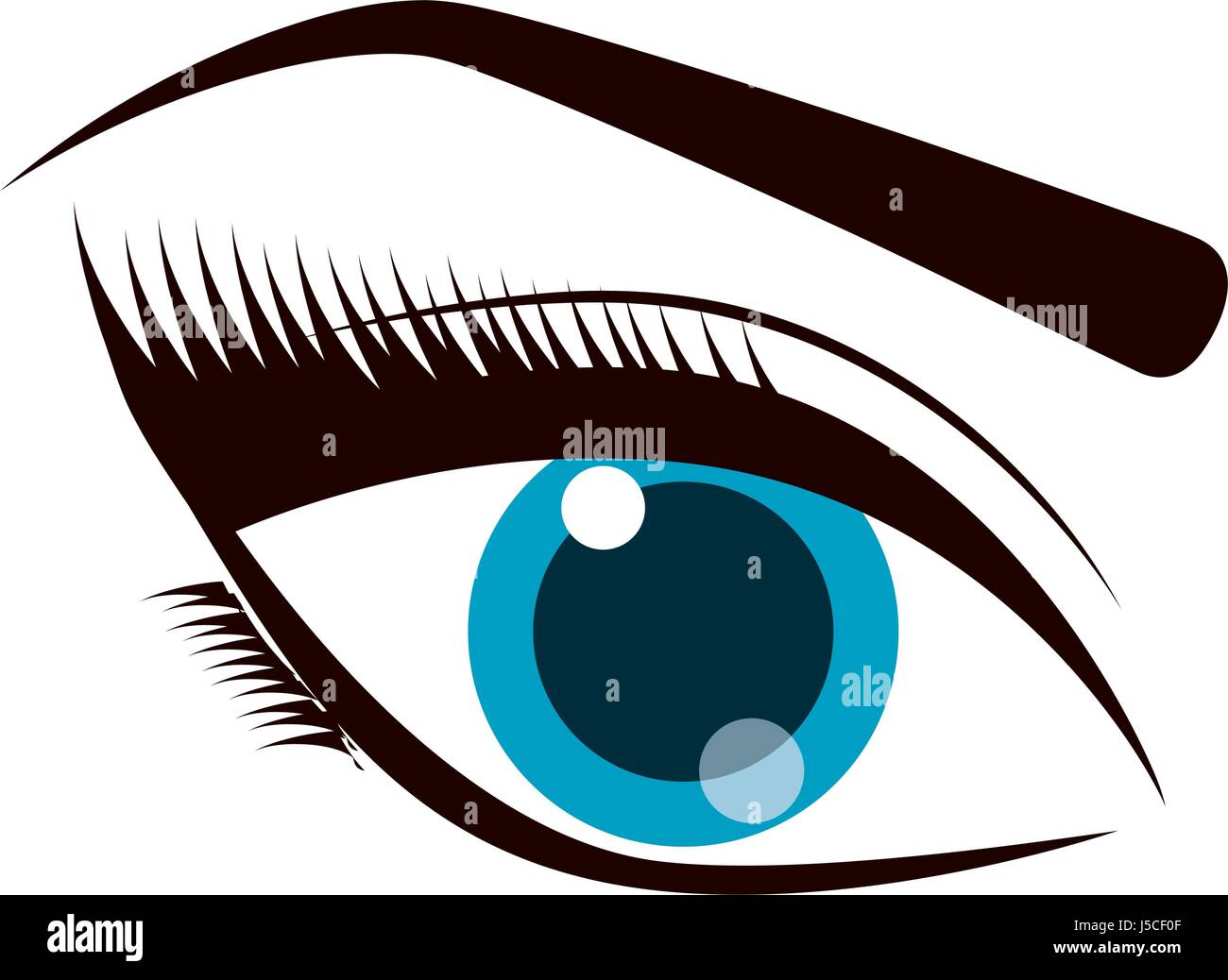 female eye icon Stock Vector Image & Art - Alamy