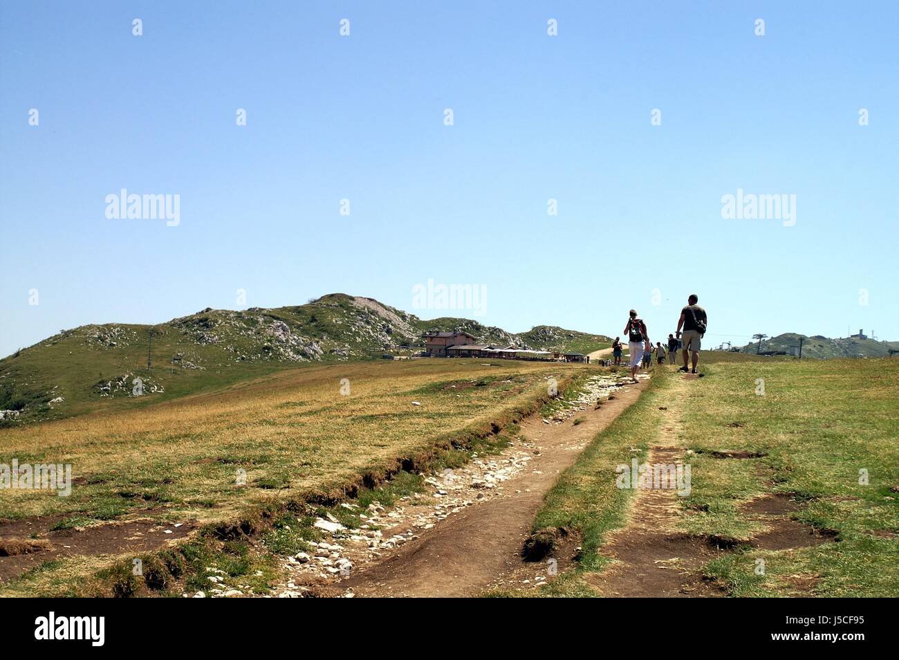 woman humans human beings people folk persons human human being spare ...