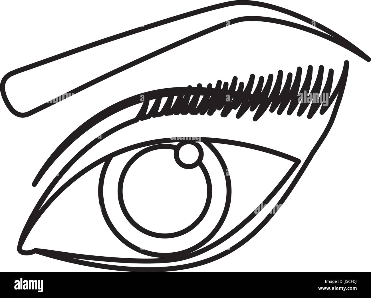 female eye icon Stock Vector Image & Art - Alamy