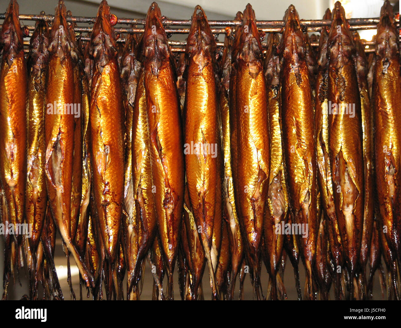 fish dainty bright shiny pisces delicacy herring smoked smoke kipper ...