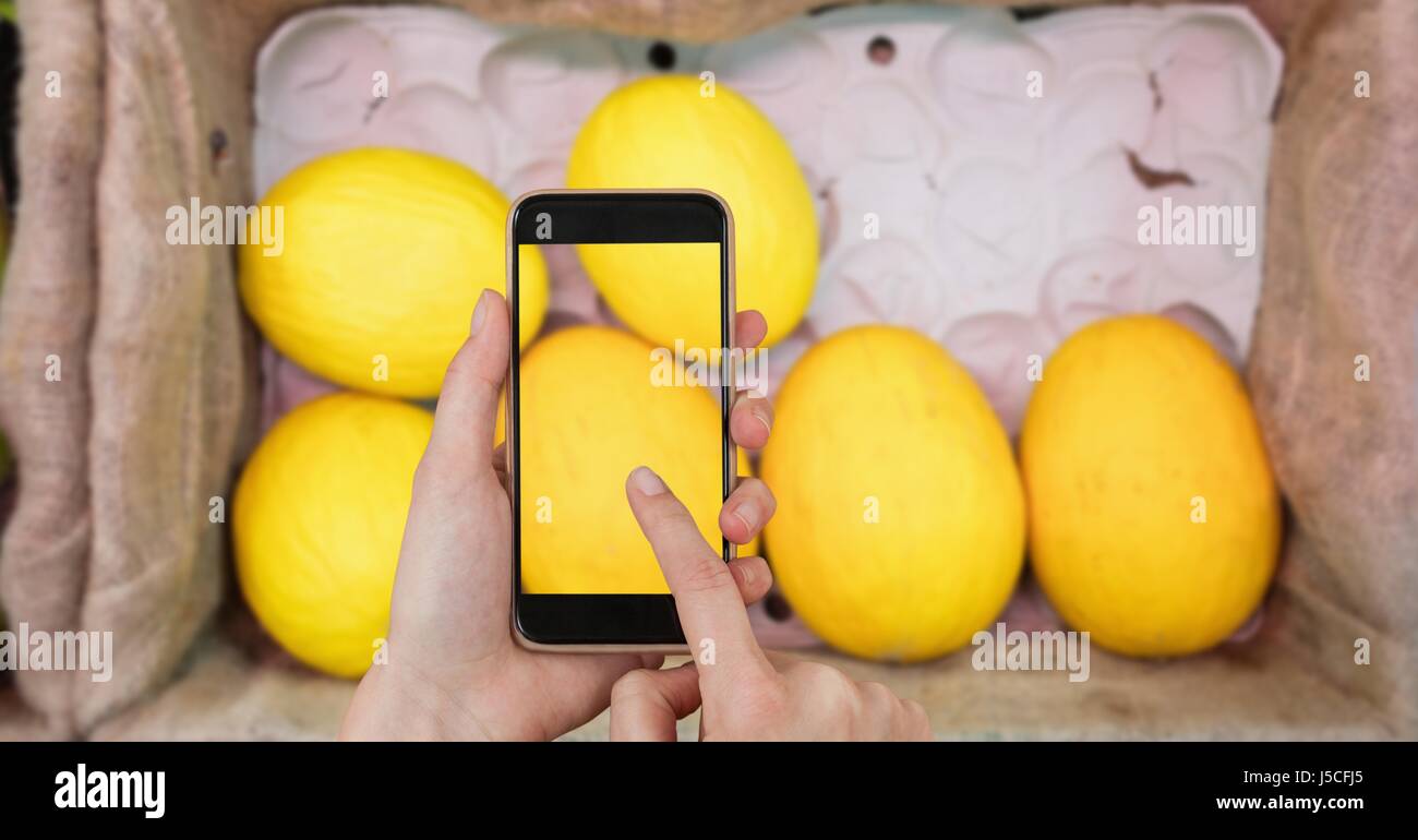 Digital composite of Hands taking picture of mangoes with mobile phone ...