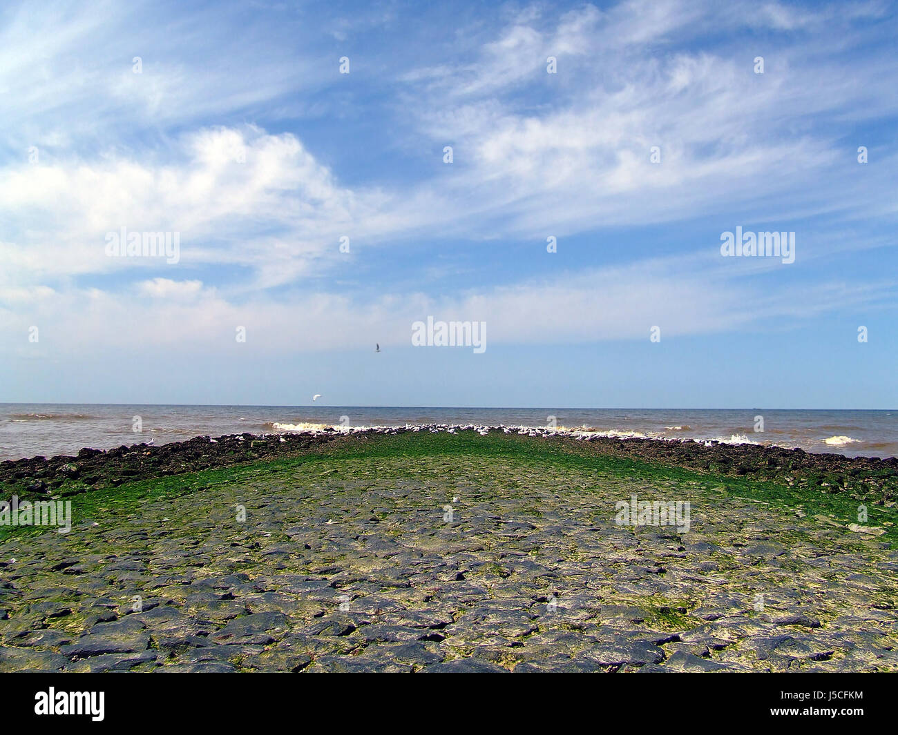 stone beach seaside the beach seashore water north sea salt water sea ...