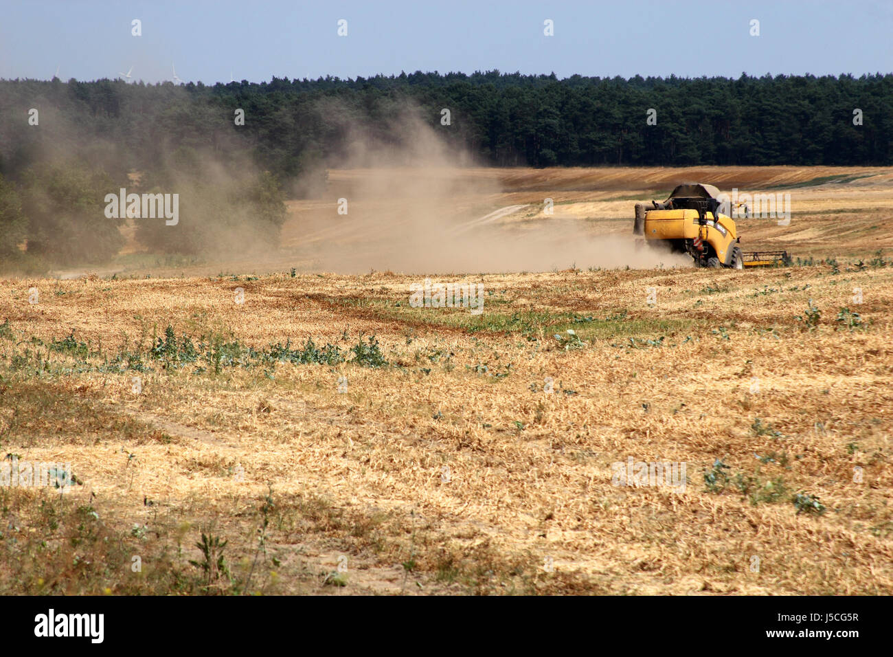 dust agriculture farming field grain dryness drought corn field stubble ...