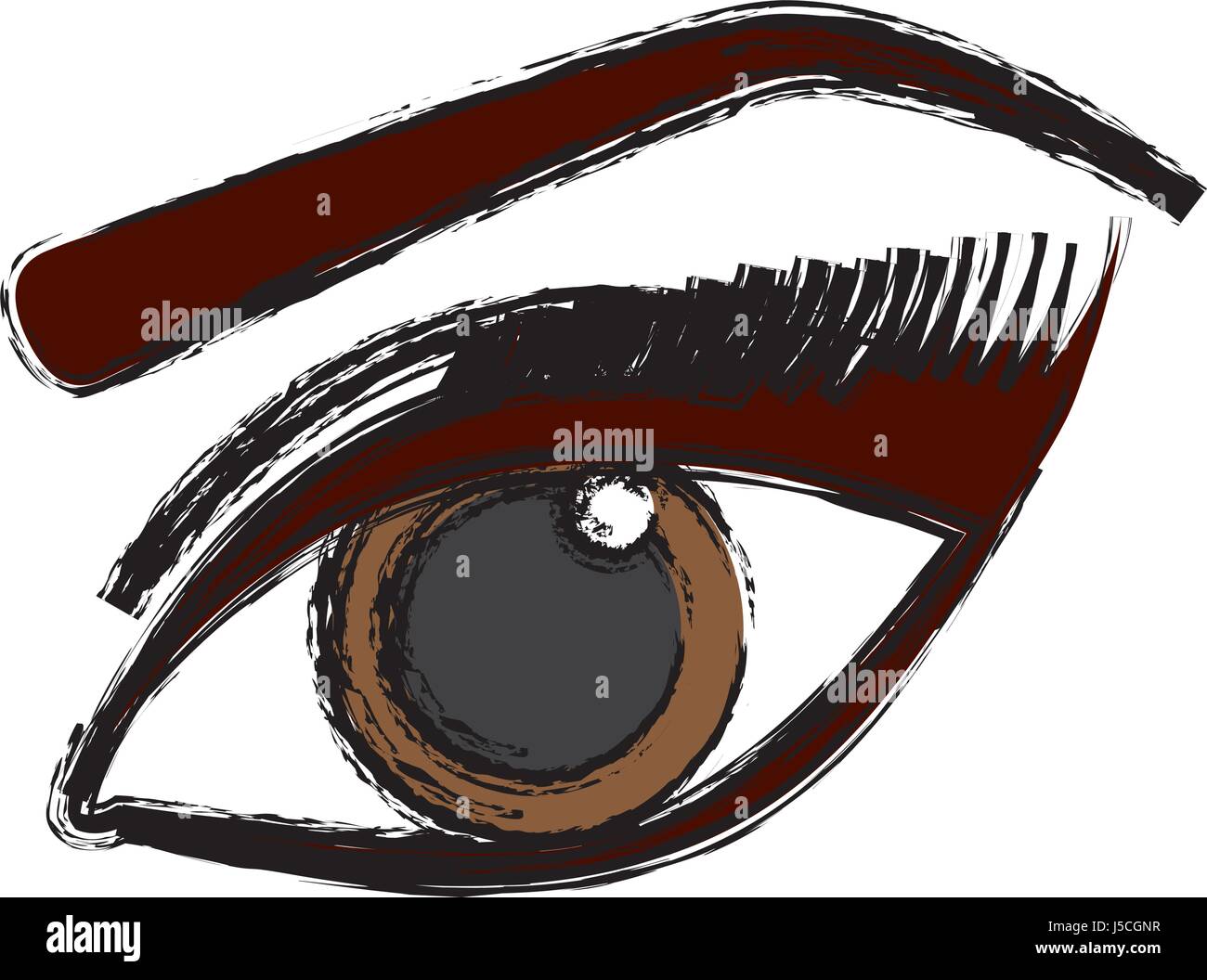 female eye icon Stock Vector Image & Art - Alamy