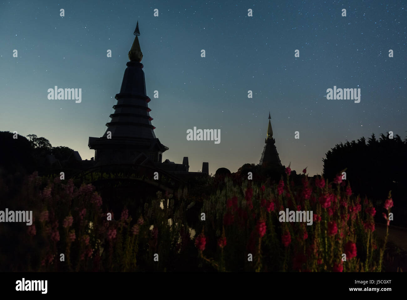 Night sky with lot of shiny stars and two pagoda in Doi Inthanon ...