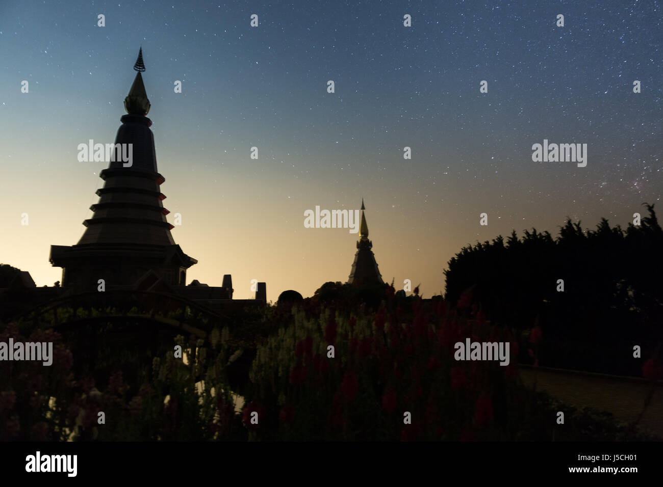Night sky with lot of shiny stars and two pagoda in Doi Inthanon ...
