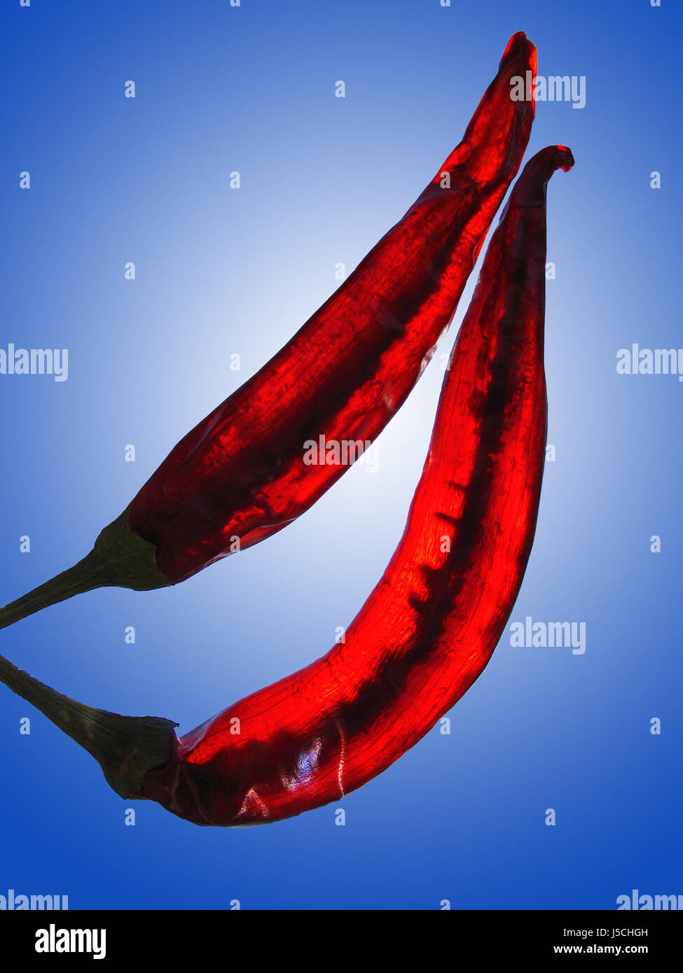 red hot chilli Stock Photo - Alamy