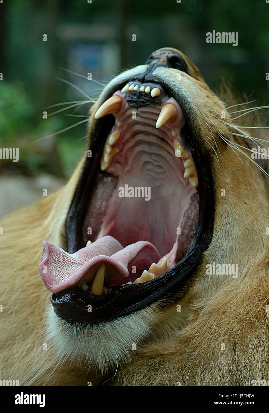 Profound hi-res stock photography and images - Alamy