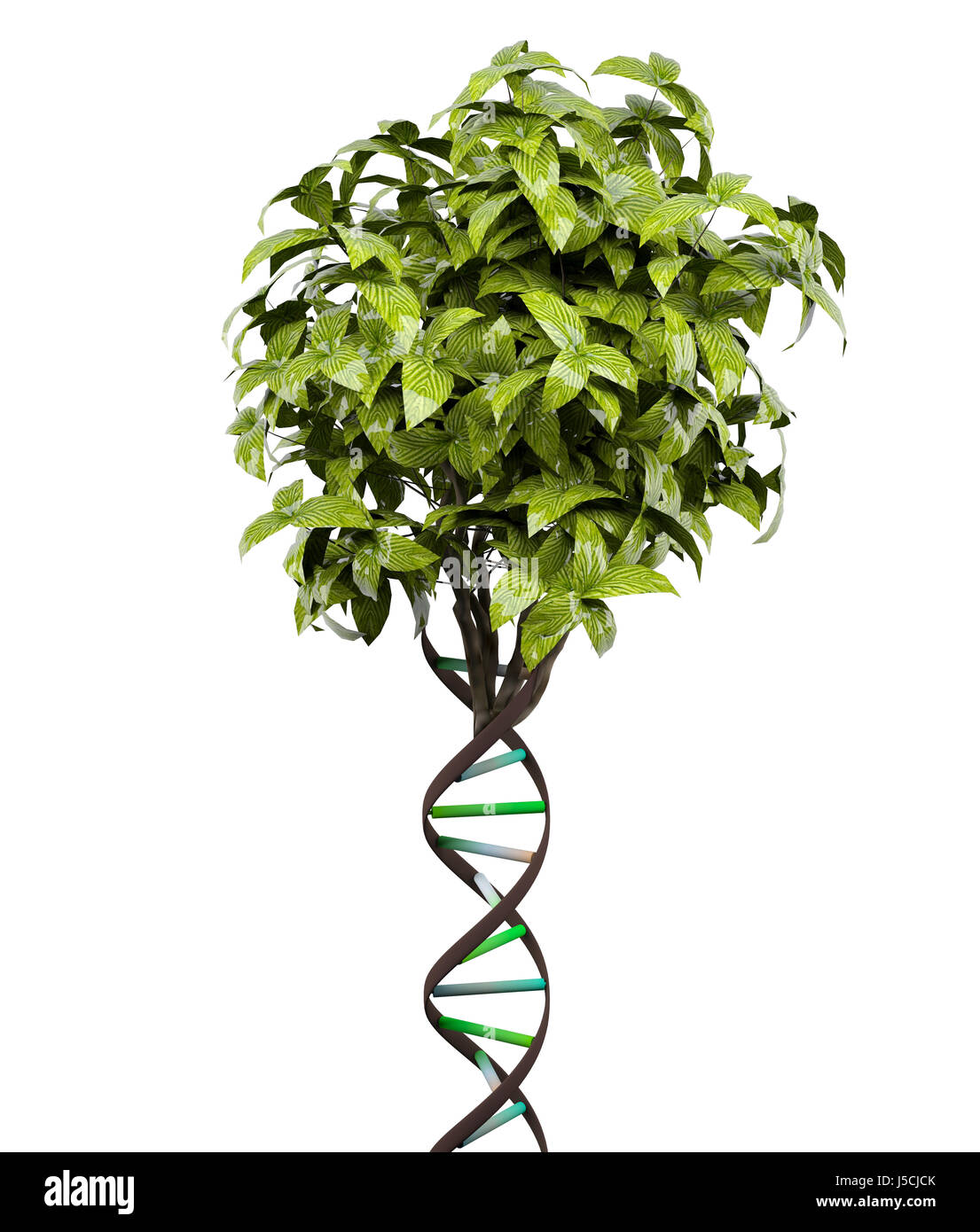 dna shaped tree trunk, 3d illustration Stock Photo - Alamy