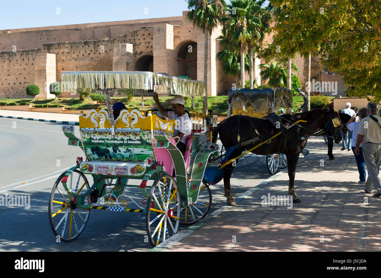 Horse-drawn carriages in Meknes, Morocco Stock Photo - Alamy