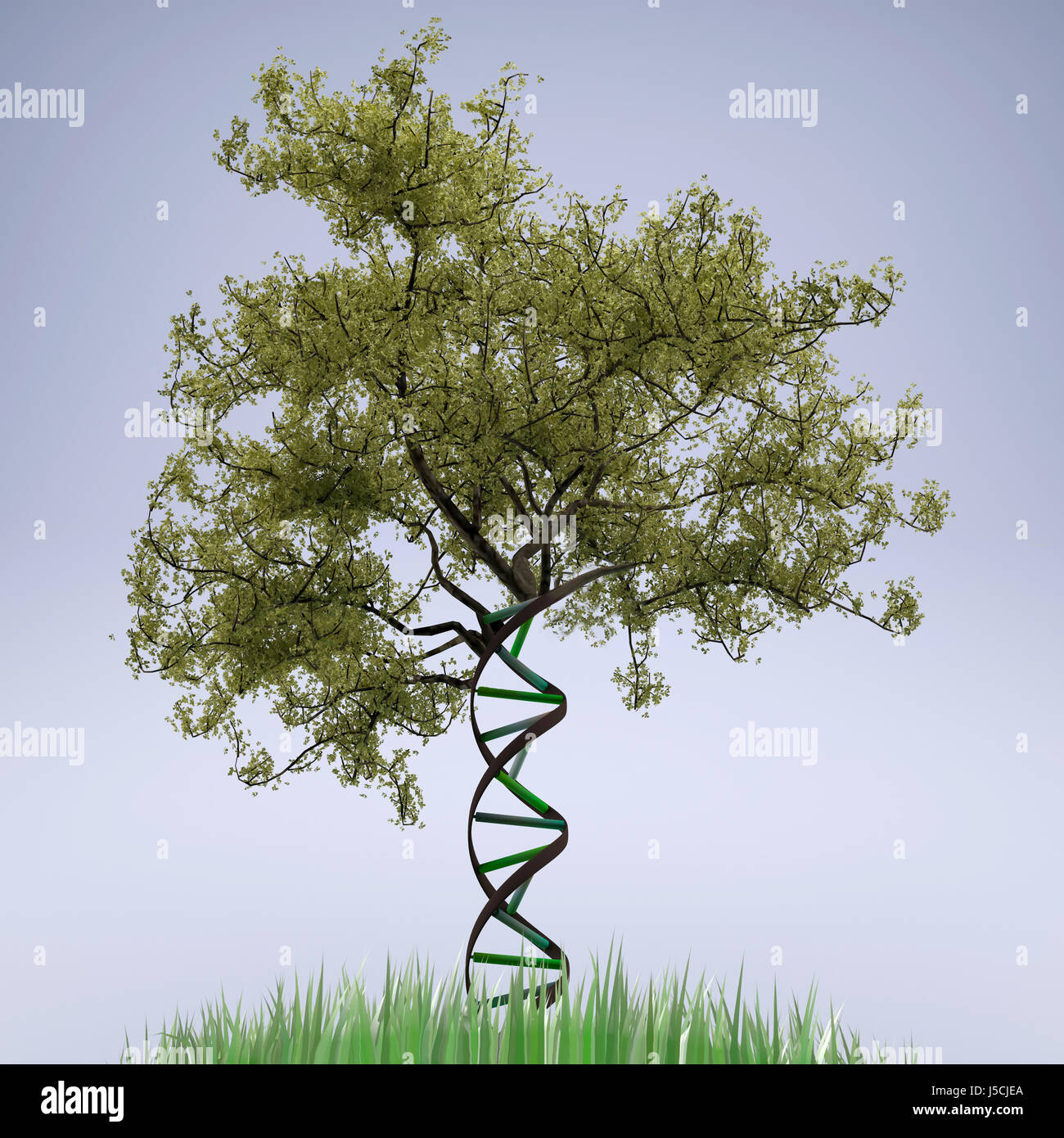 Dna tree hi-res stock photography and images - Alamy