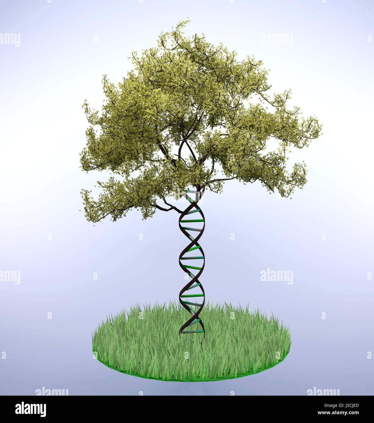 Dna shaped tree hi-res stock photography and images - Alamy