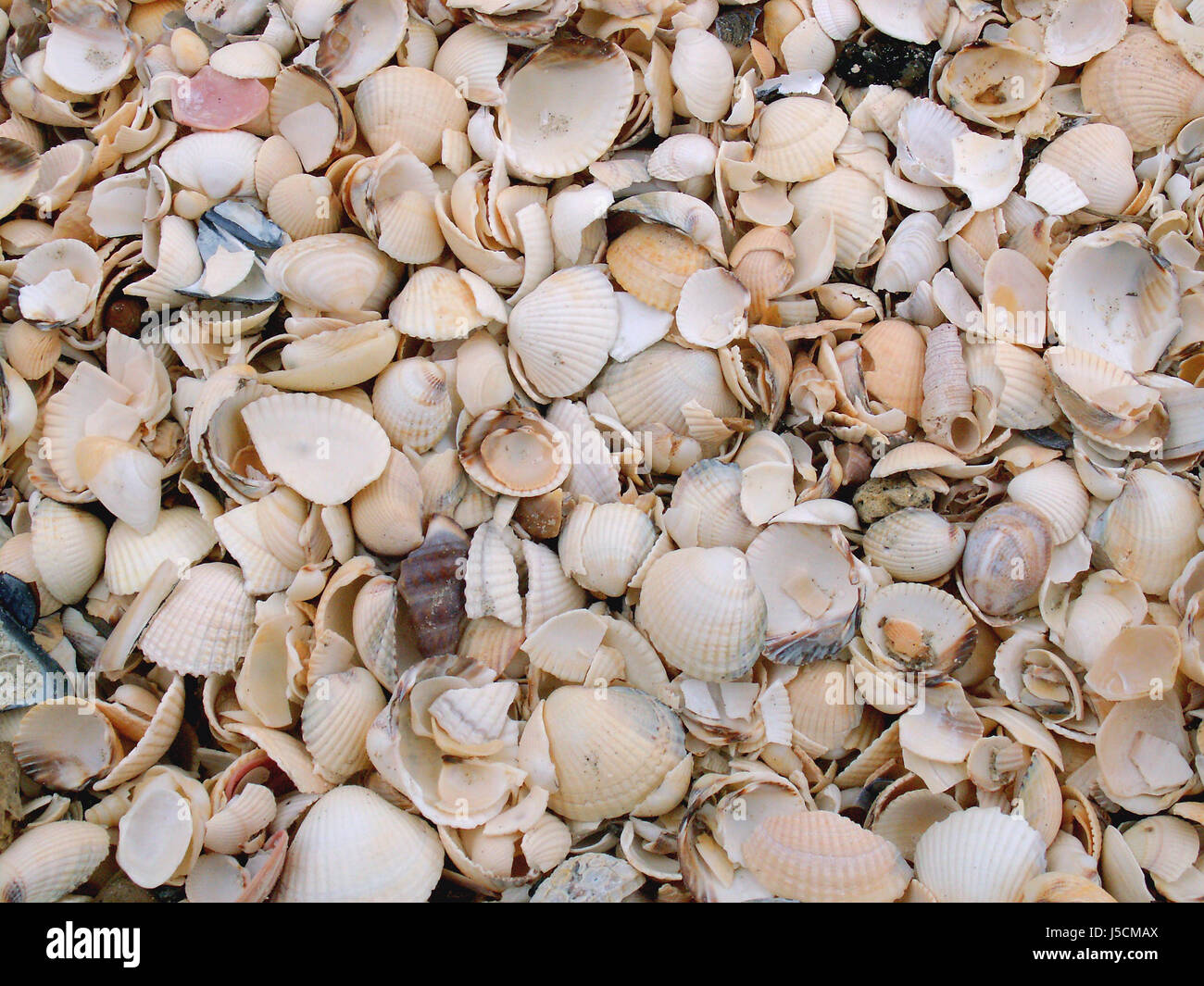 Conchoidal fracture hi-res stock photography and images - Alamy