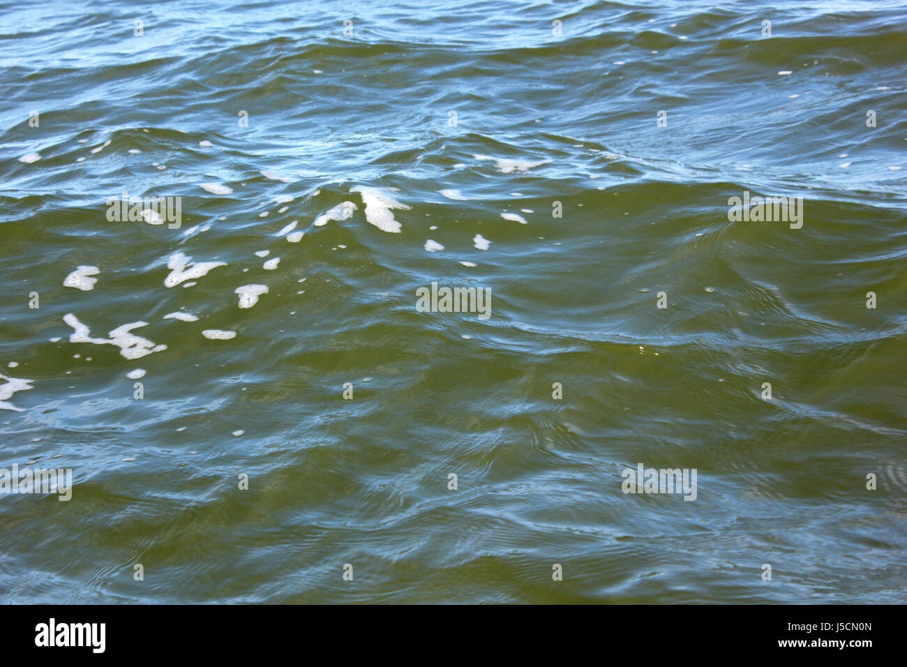 Lake Victoria water at Entebbe, Uganda Stock Photo - Alamy