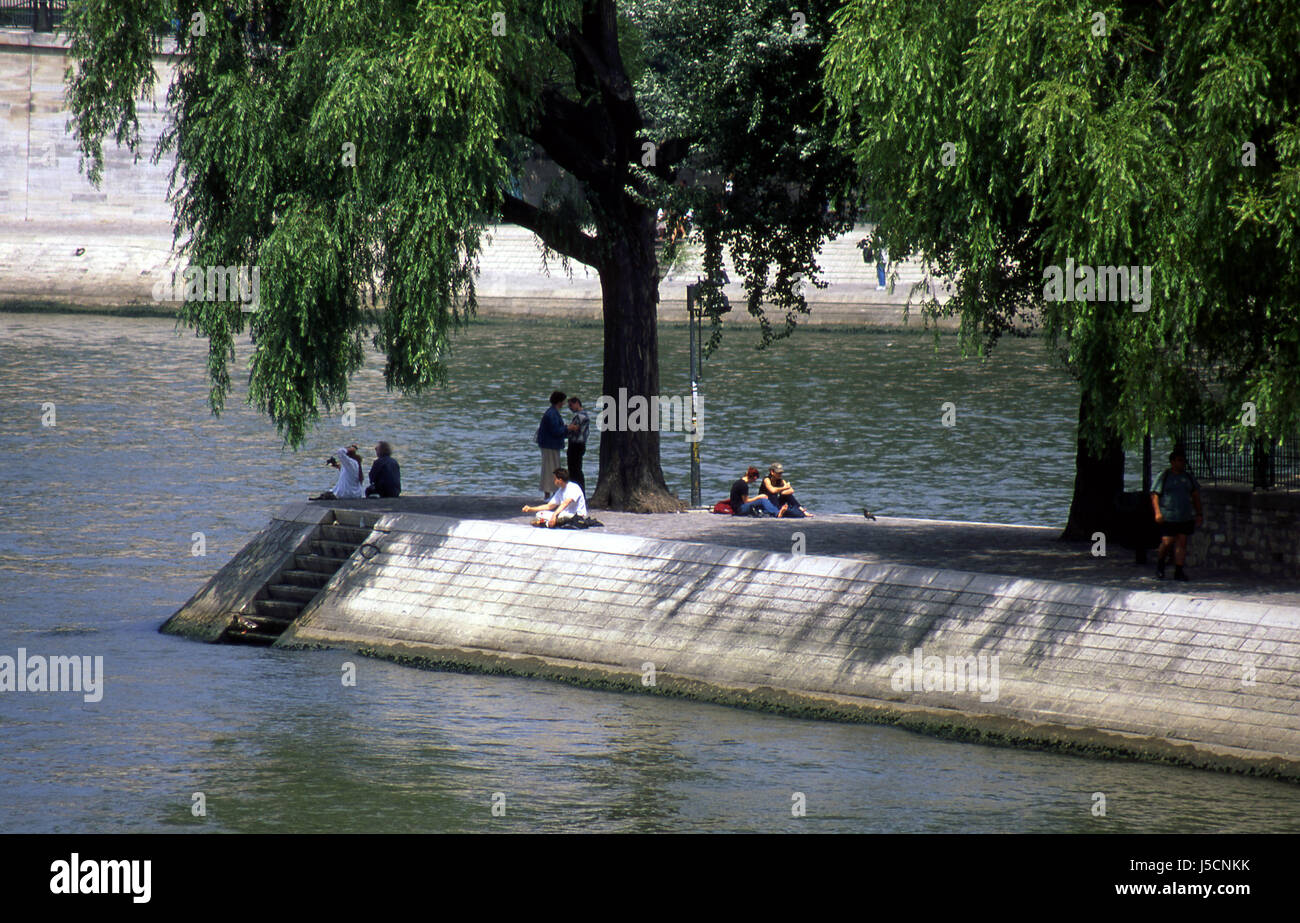 humans human beings people folk persons human human being tree trees ...