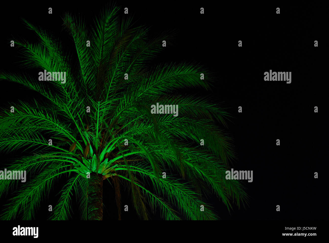 holiday vacation holidays vacations at night night nighttime lighted ...